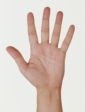 Hand and Wrist Exercises: Finger Grip and Release - Sterling Care - In ...